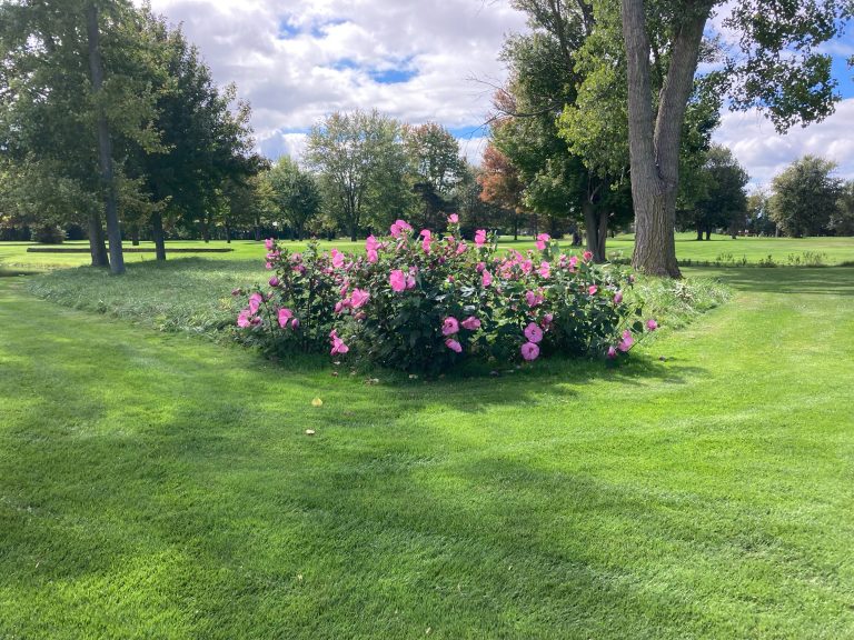 Gallery – Crestview Golf Course Zeeland MI 49464