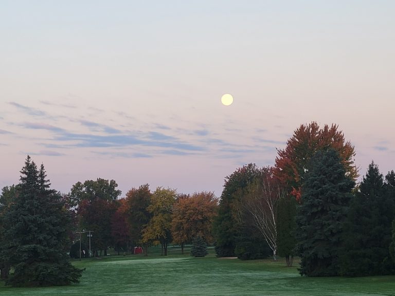 Gallery – Crestview Golf Course Zeeland MI 49464